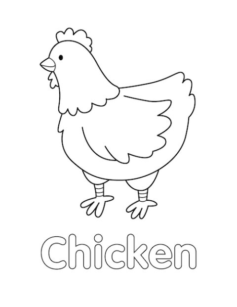 Chicken Coloring Page - Little Bee Family