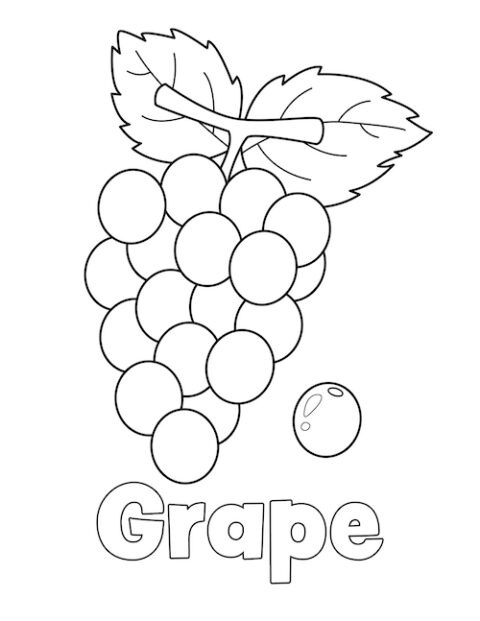 Grape Coloring Page - Little Bee Family