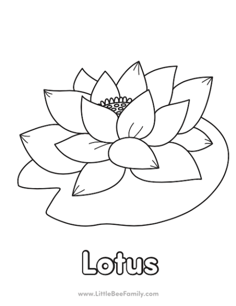 Lotus Coloring Page - Little Bee Family
