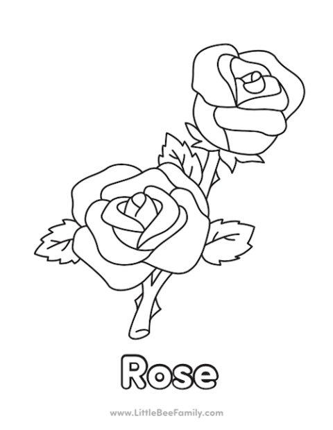 Rose Coloring Page - Little Bee Family