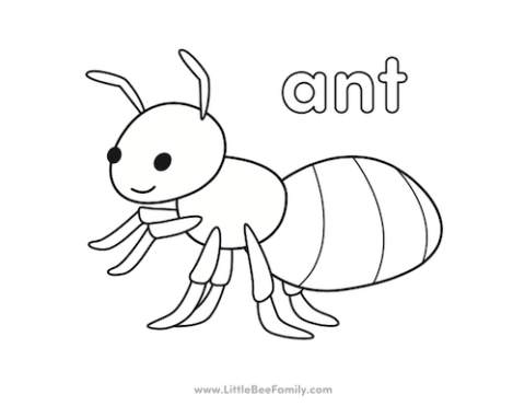 Ant Coloring Page - Little Bee Family