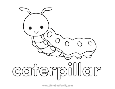 Caterpillar Coloring Page - Little Bee Family