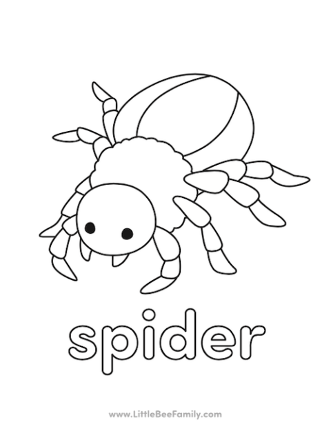 Spider Coloring Page - Little Bee Family